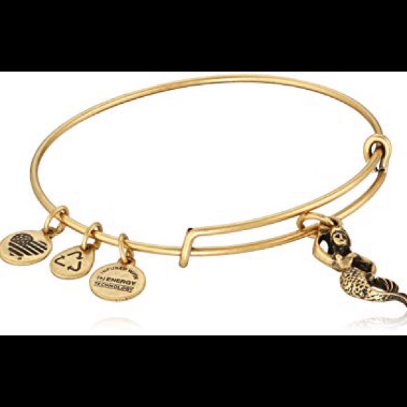 Alex and Ani | Jewelry | Alex Ani Mermaid Charm Rafaelian Gold Bangle | Poshmark